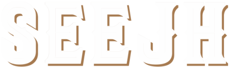 Tram View: Live Jackson Hole Conditions by SeeJH.ai